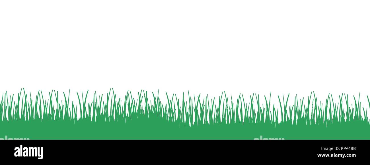 Green grass vector. Grass border illustration Stock Vector Image & Art ...