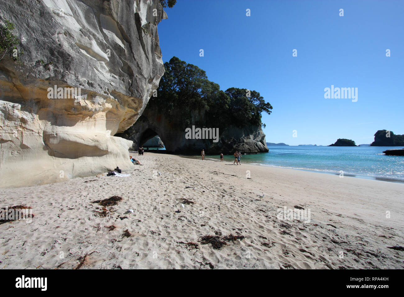 Famous Cathedral Cove at Coromandel peninsula. New Zealand, North ...