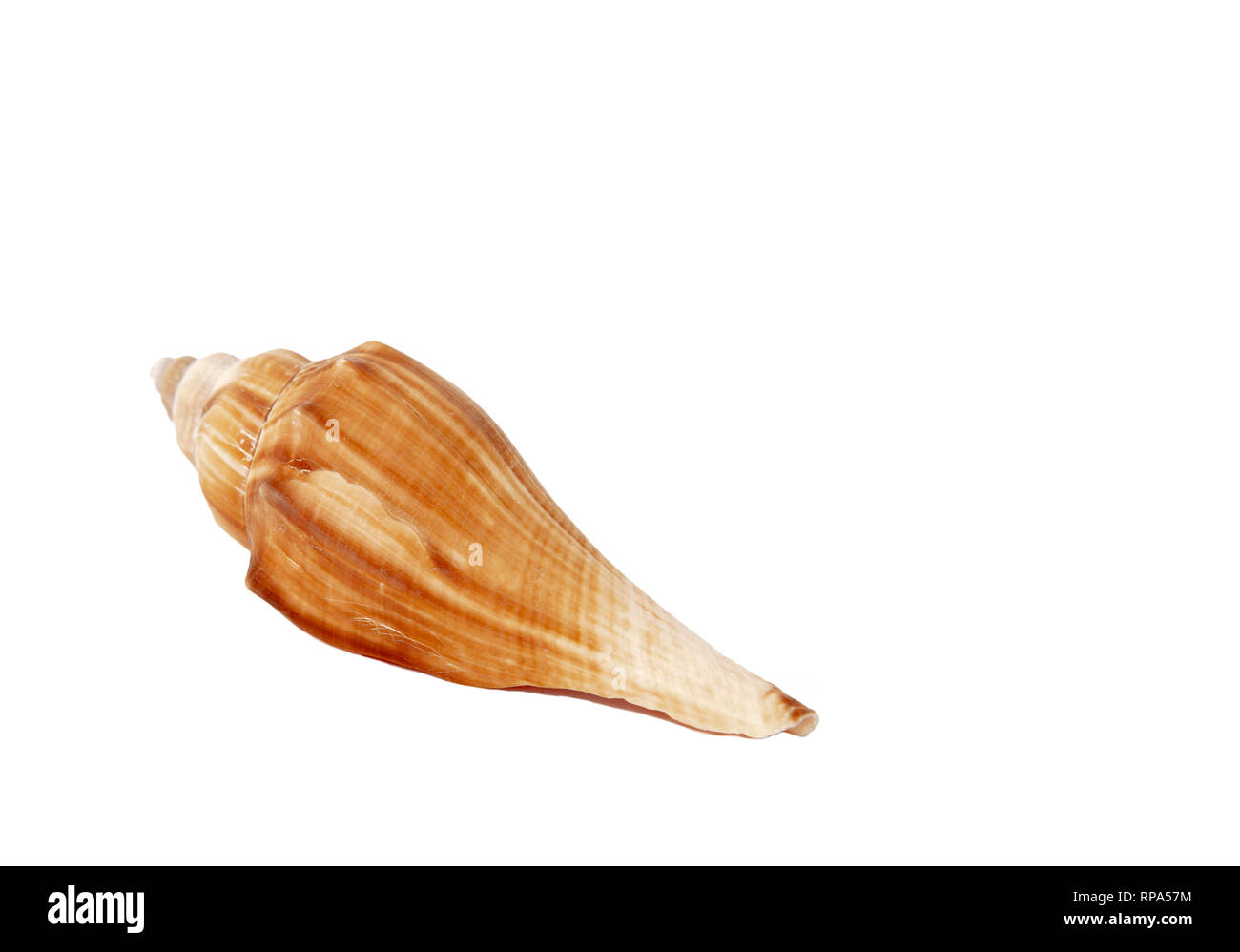 Copypaste hi-res stock photography and images - Alamy