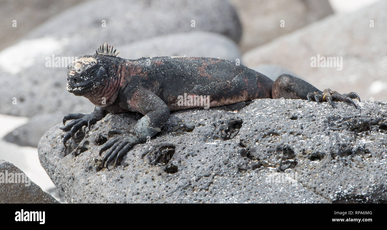 Equator islands hi-res stock photography and images - Alamy
