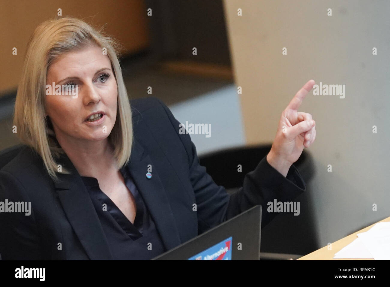 Berlin, Germany. 21st Feb, 2019. Jessica Bießmann from the AfD at a ...