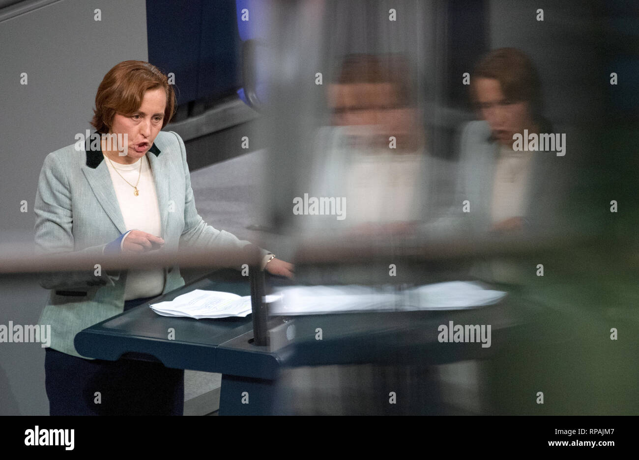 Berlin, Germany. 21st Feb, 2019. Beatrix von Storch (AfD), Member of ...