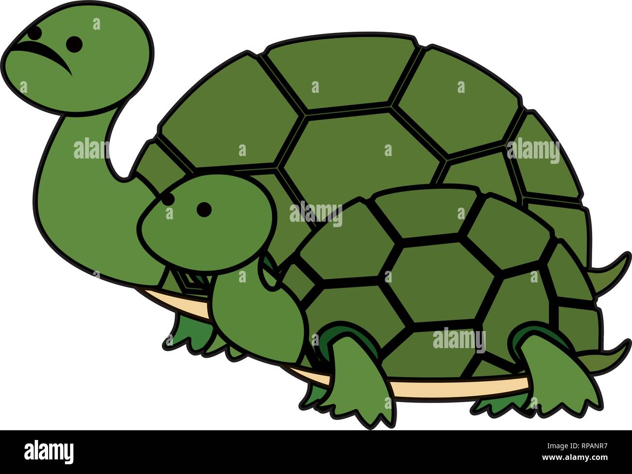 cute family turtles wild characters vector illustration design Stock ...