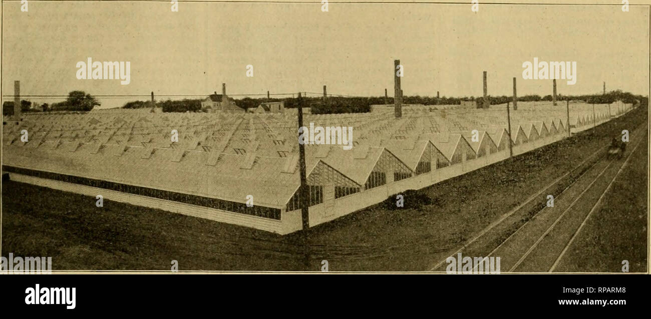 Peter reinberg summerdale hi-res stock photography and images - Alamy