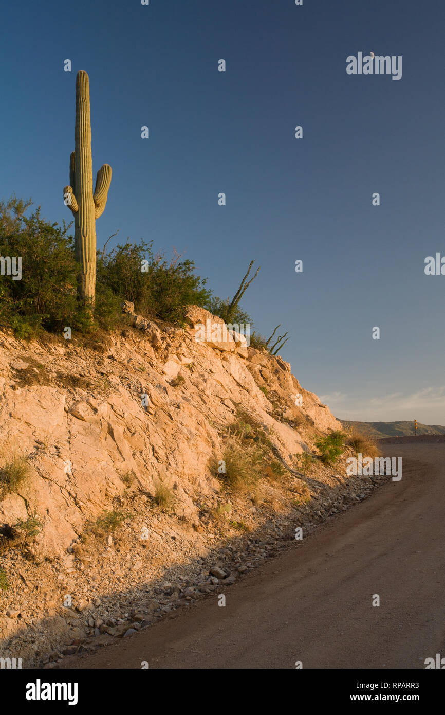 Redington Road High Resolution Stock Photography and Images - Alamy