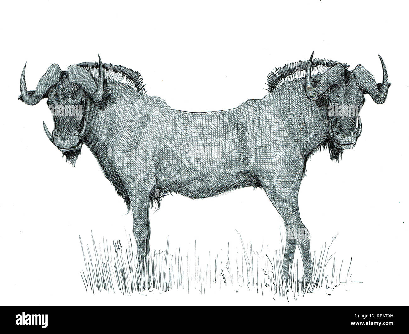 Monster drawing hi-res stock photography and images - Alamy