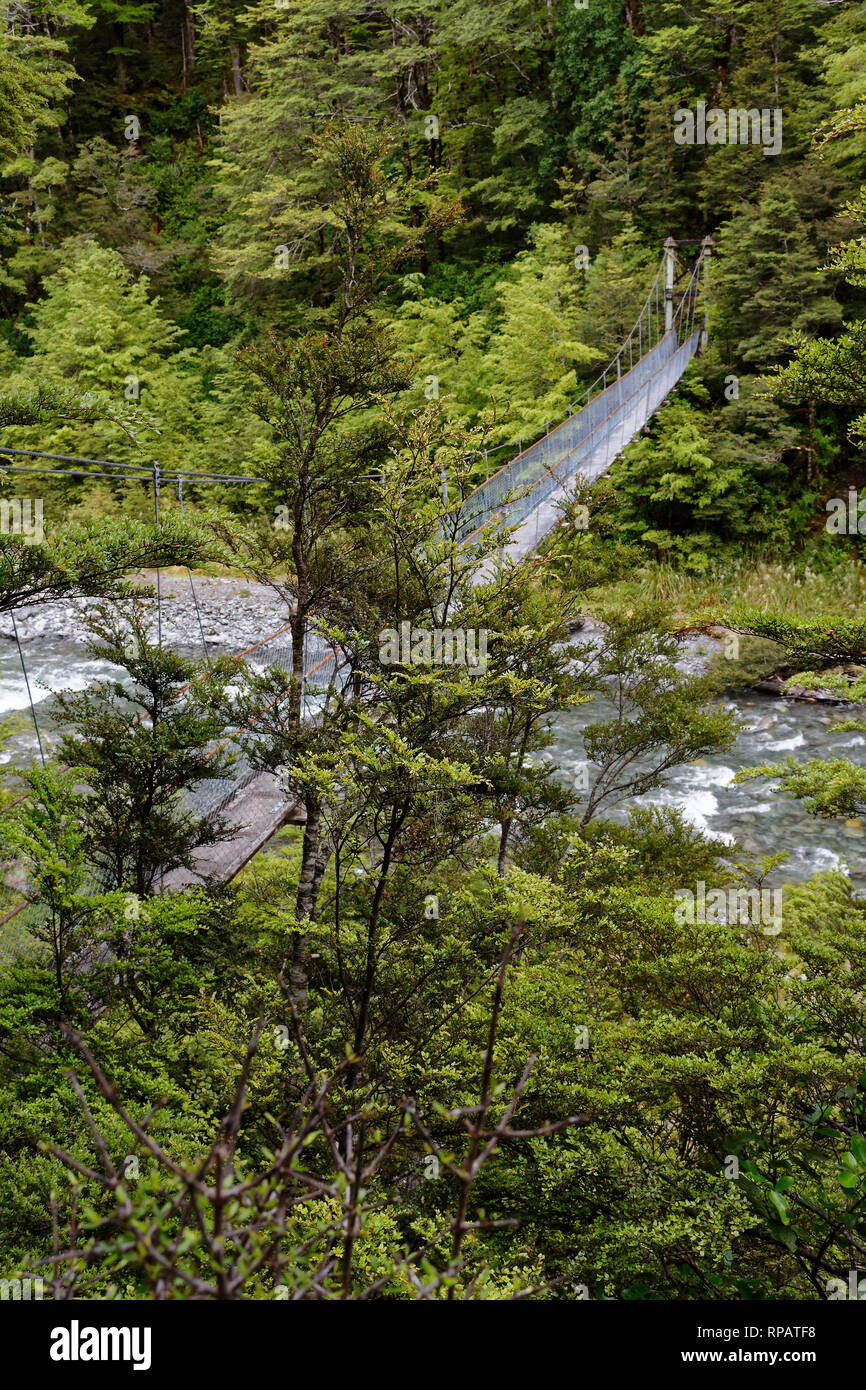 Forest rope bridge hike hi-res stock photography and images - Alamy