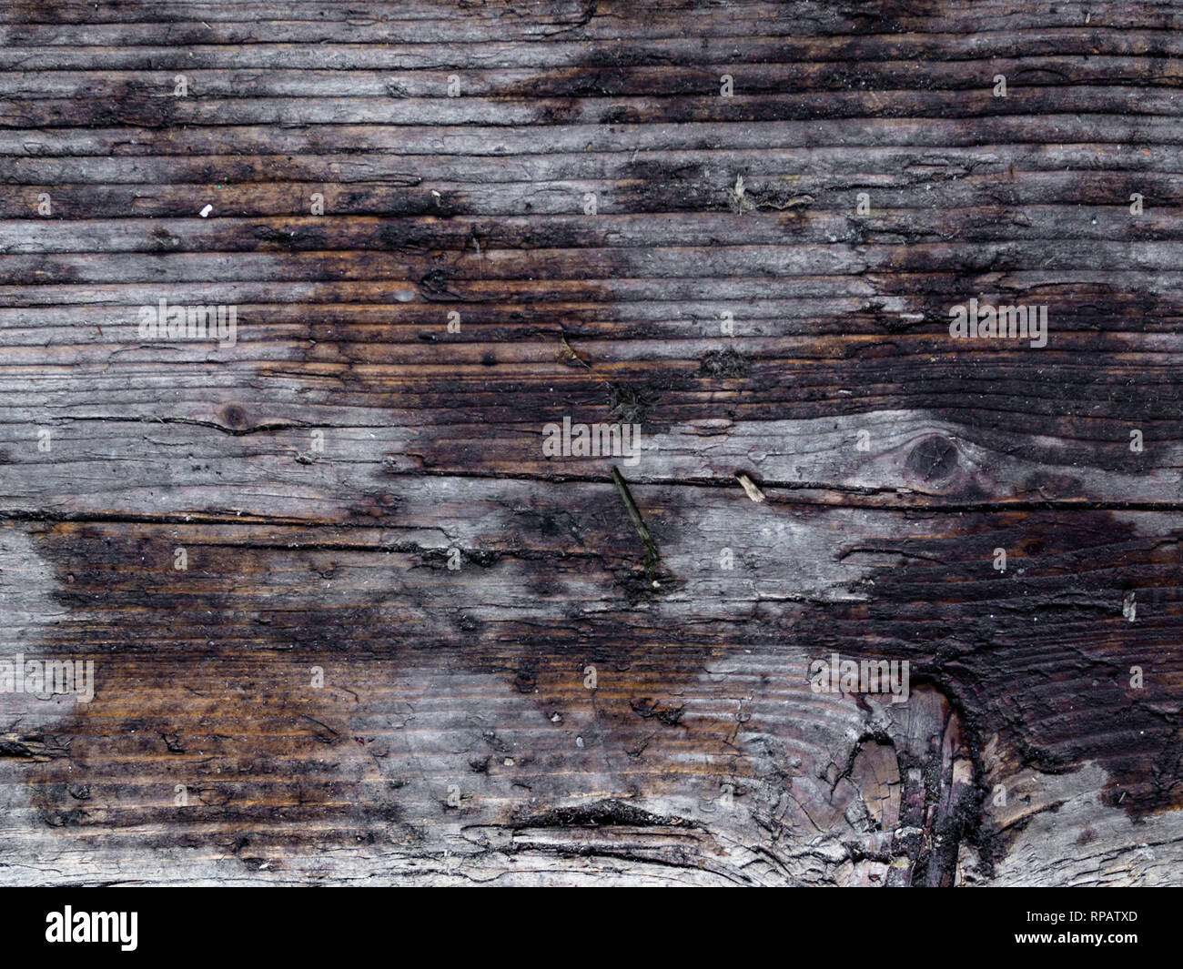 vintage surface wood, rustic grain texture background, copy space Stock ...