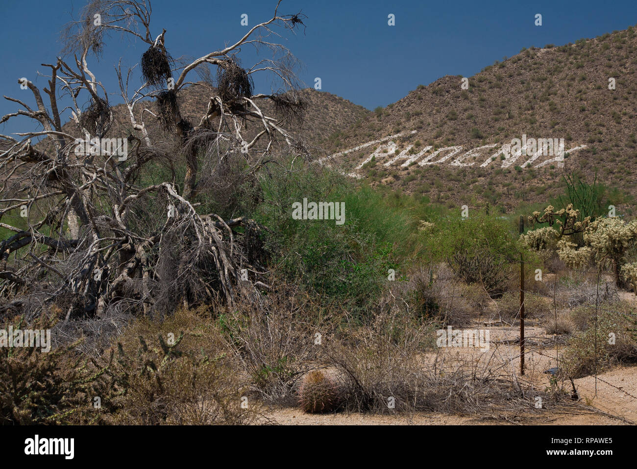 The Phoenix Arrow Stock Photo - Alamy