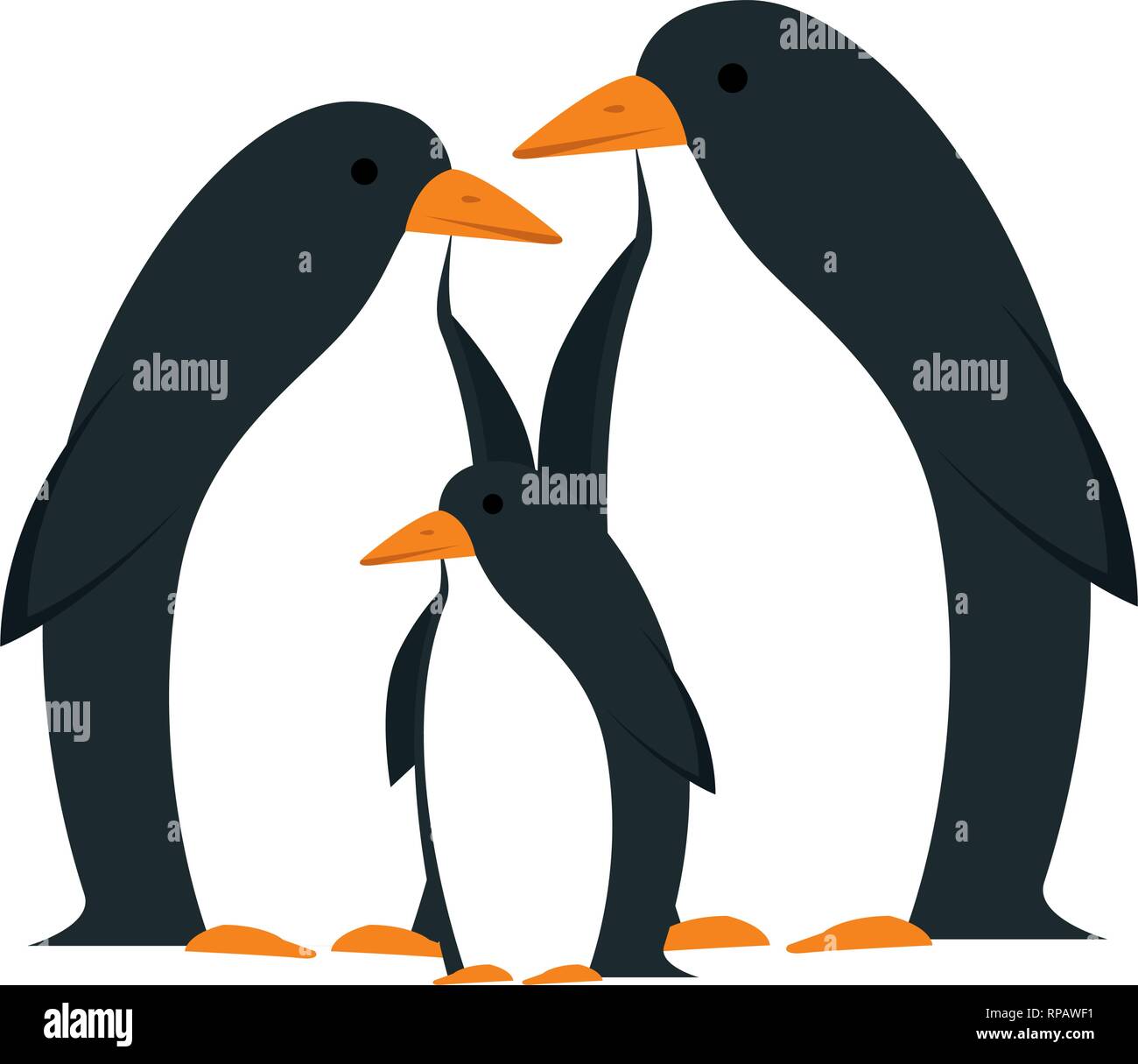 cute penguins birds characters vector illustration design Stock Vector ...