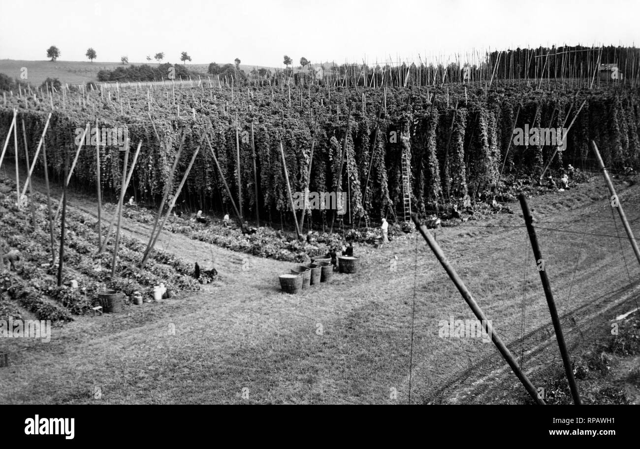 hopping, germany 1956 Stock Photo - Alamy