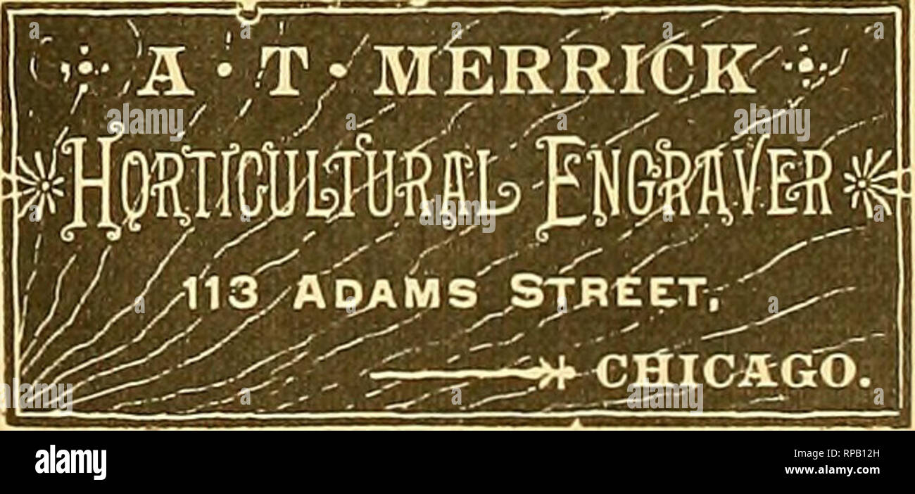 1107 broadway new york hi-res stock photography and images - Alamy