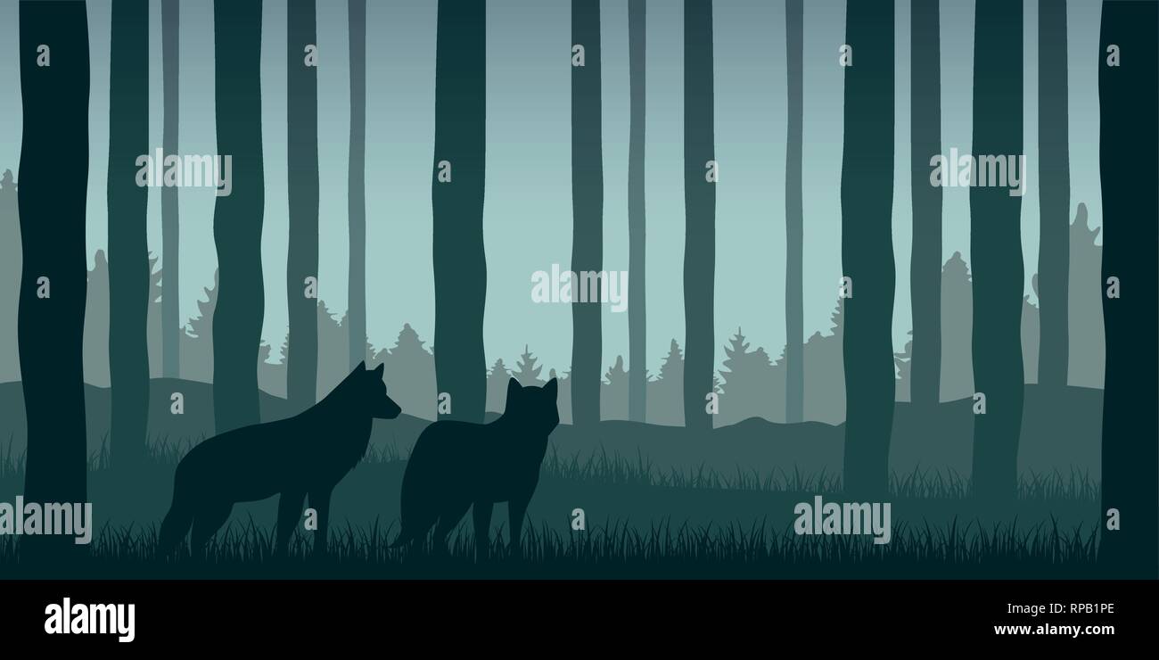 two wolves in green forest wildlife nature landscape vector ...