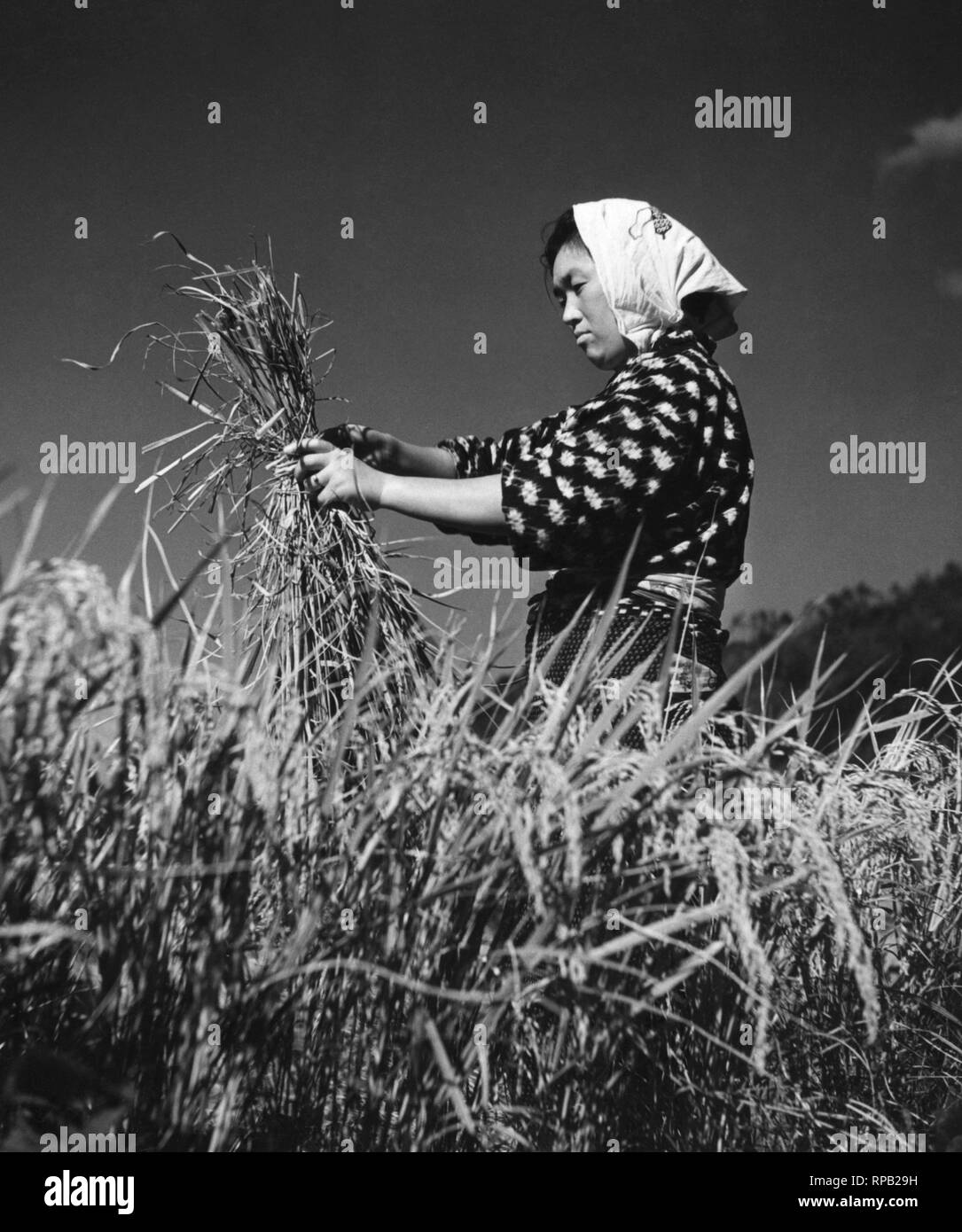 1959 japan hi-res stock photography and images - Alamy