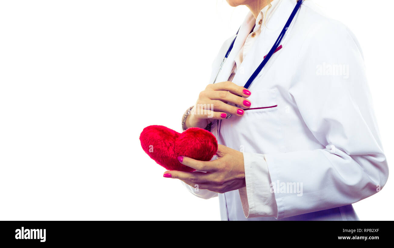 Periodic examinations. Cardiology concept. Female cardiologist holding ...