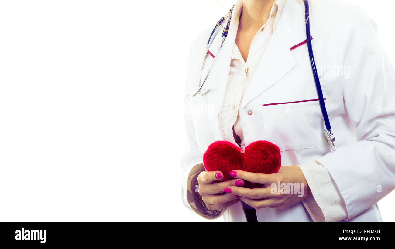 Periodic examinations. Cardiology concept. Female cardiologist holding ...