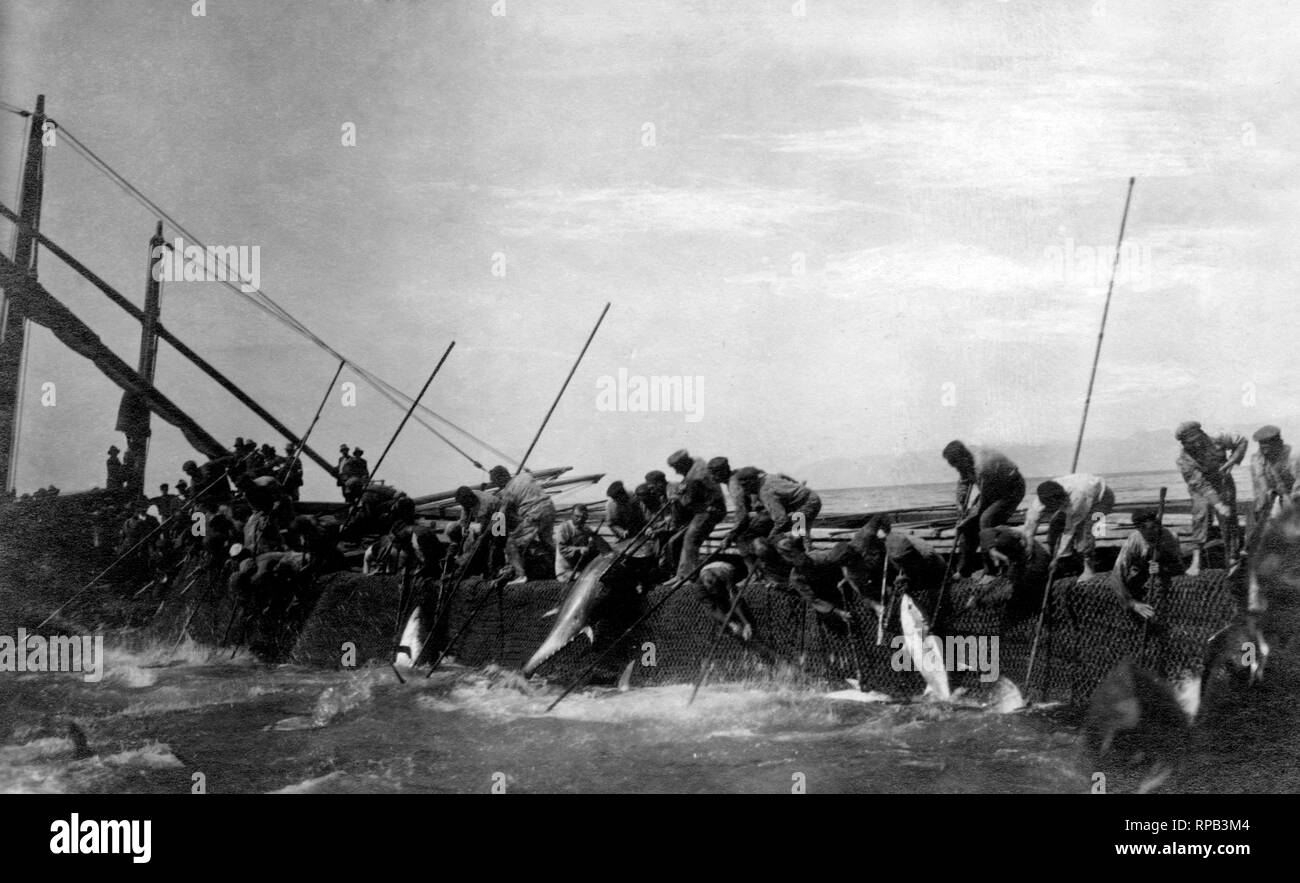 Slaughter industry Black and White Stock Photos & Images - Alamy