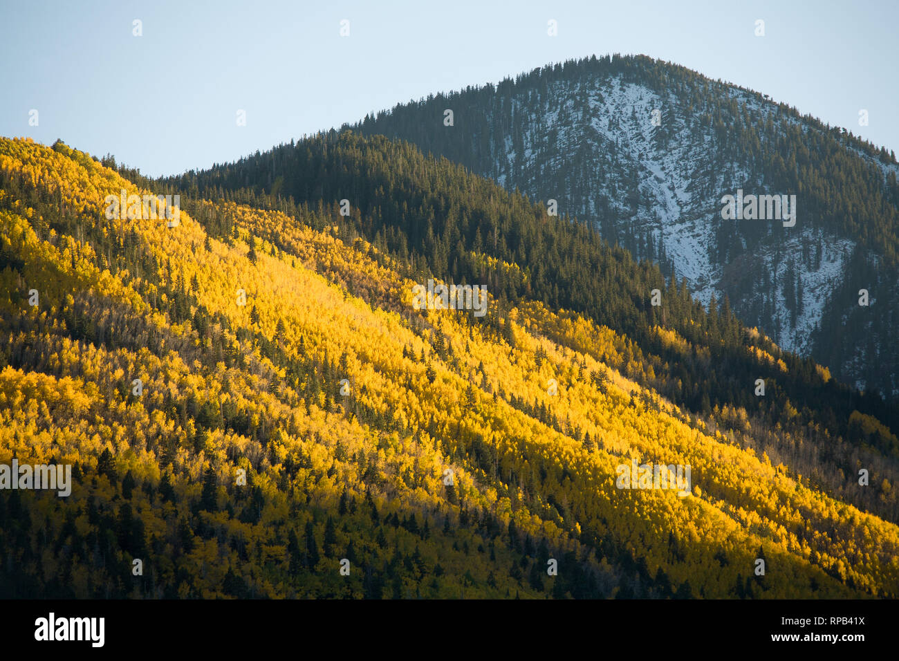 Lockett Meadow High Resolution Stock Photography and Images - Alamy