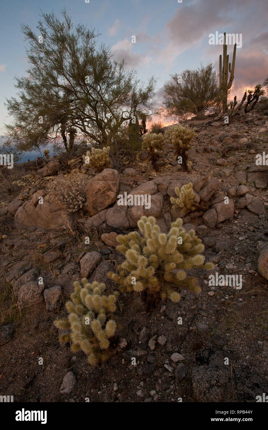 Sacaton Mountains High Resolution Stock Photography and Images - Alamy