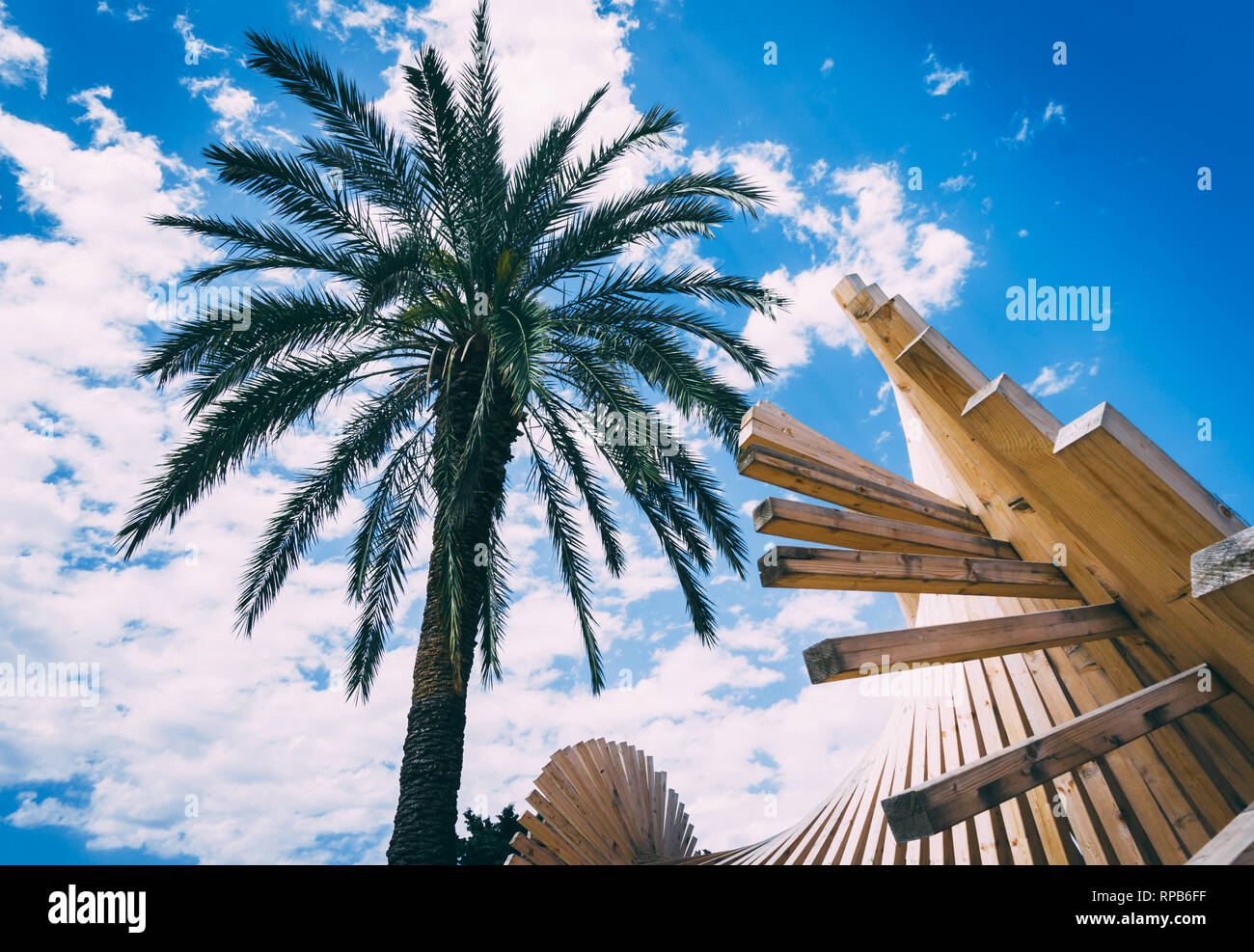 A palm tree with wooden structure in front and blue sky in the ...