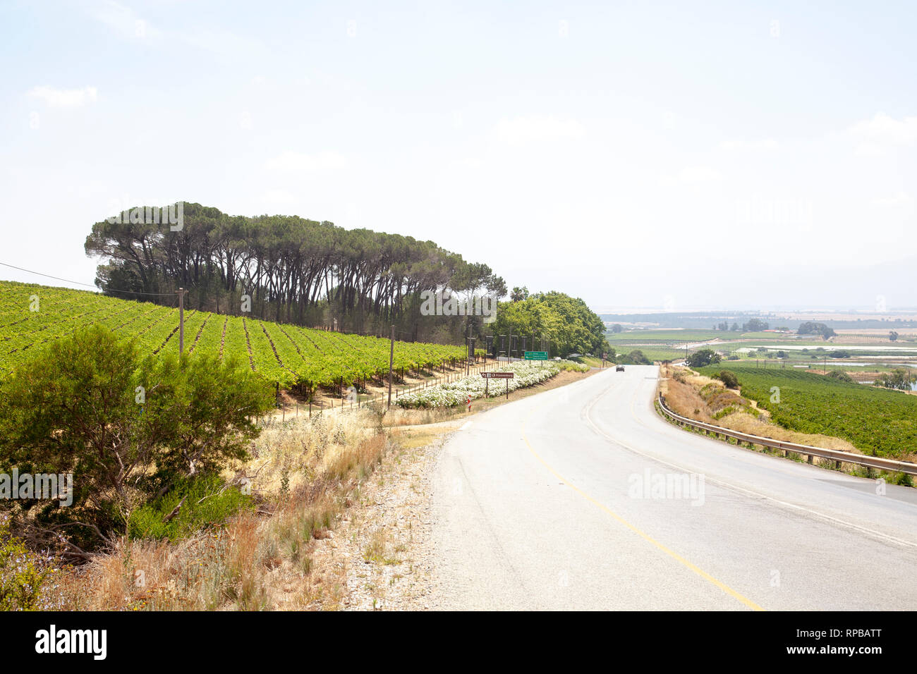 Riebeek Kasteel Road Through Vineyards in Western Cape - South Africa ...
