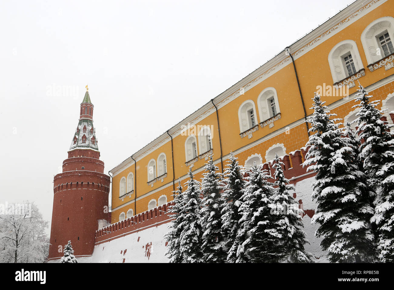 Moscow Kremlin during snowfall, winter landscape with snow covered fir ...