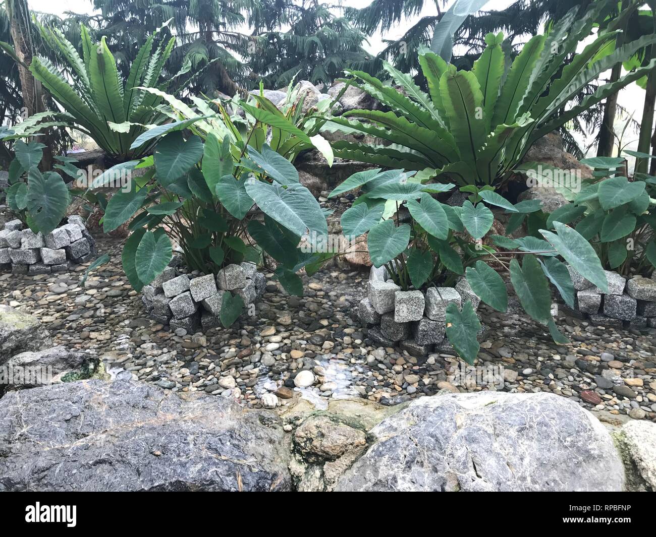 FEBRUARY 13,2019 KONYA TURKEY.Konya Tropical Butterfly Garden is the ...