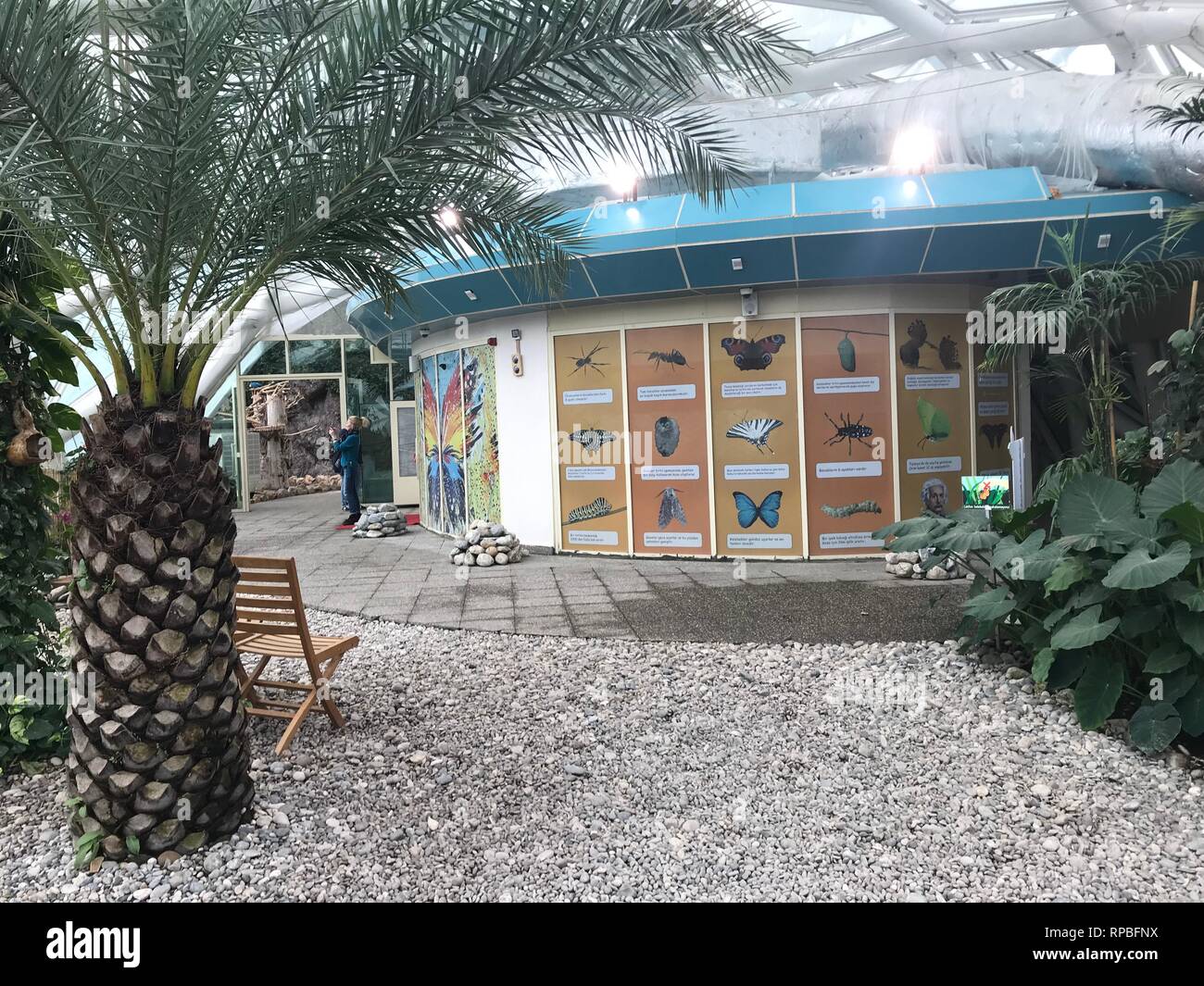 FEBRUARY 13,2019 KONYA TURKEY.Konya Tropical Butterfly Garden is the ...