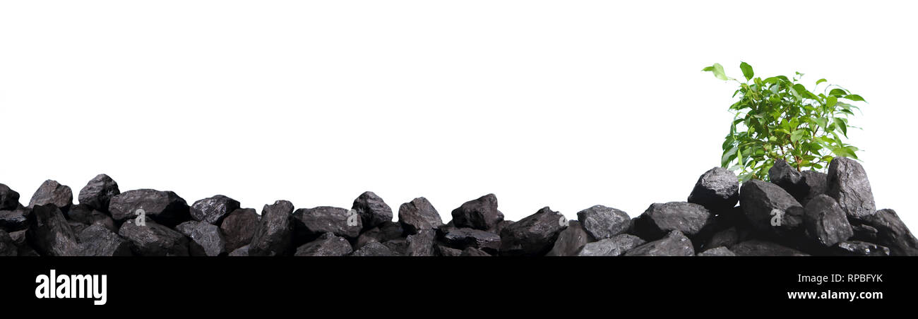 A heap of hard coal with a small deciduous tree in the background Stock ...