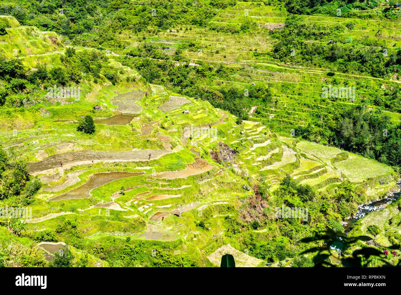 Banaue Rice Terraces - northern Luzon, UNESCO world heritage in ...