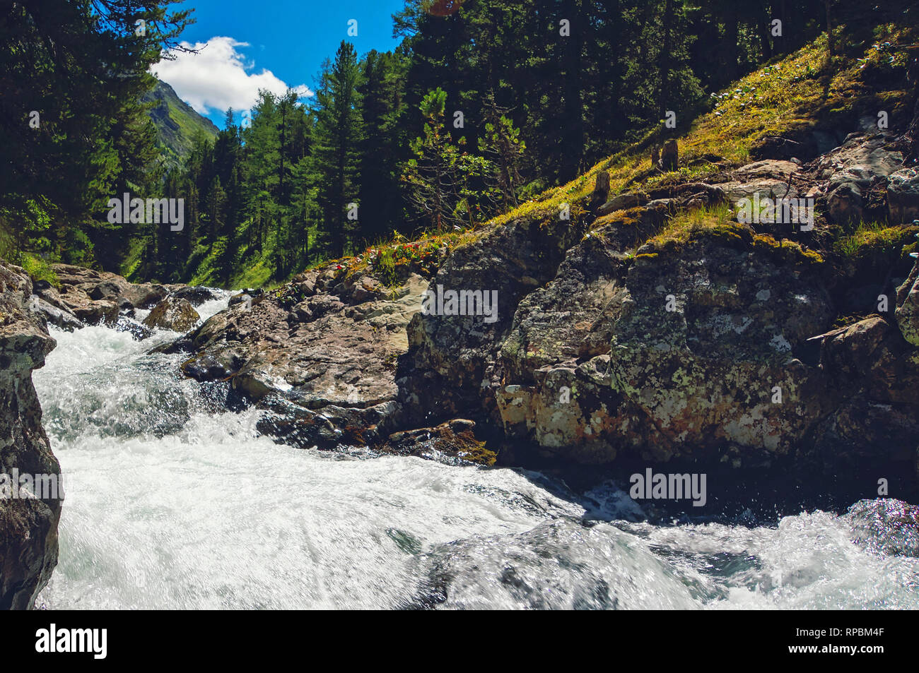 Beautiful waterfall in Siberia Altai Russia. The wildlife of the ...