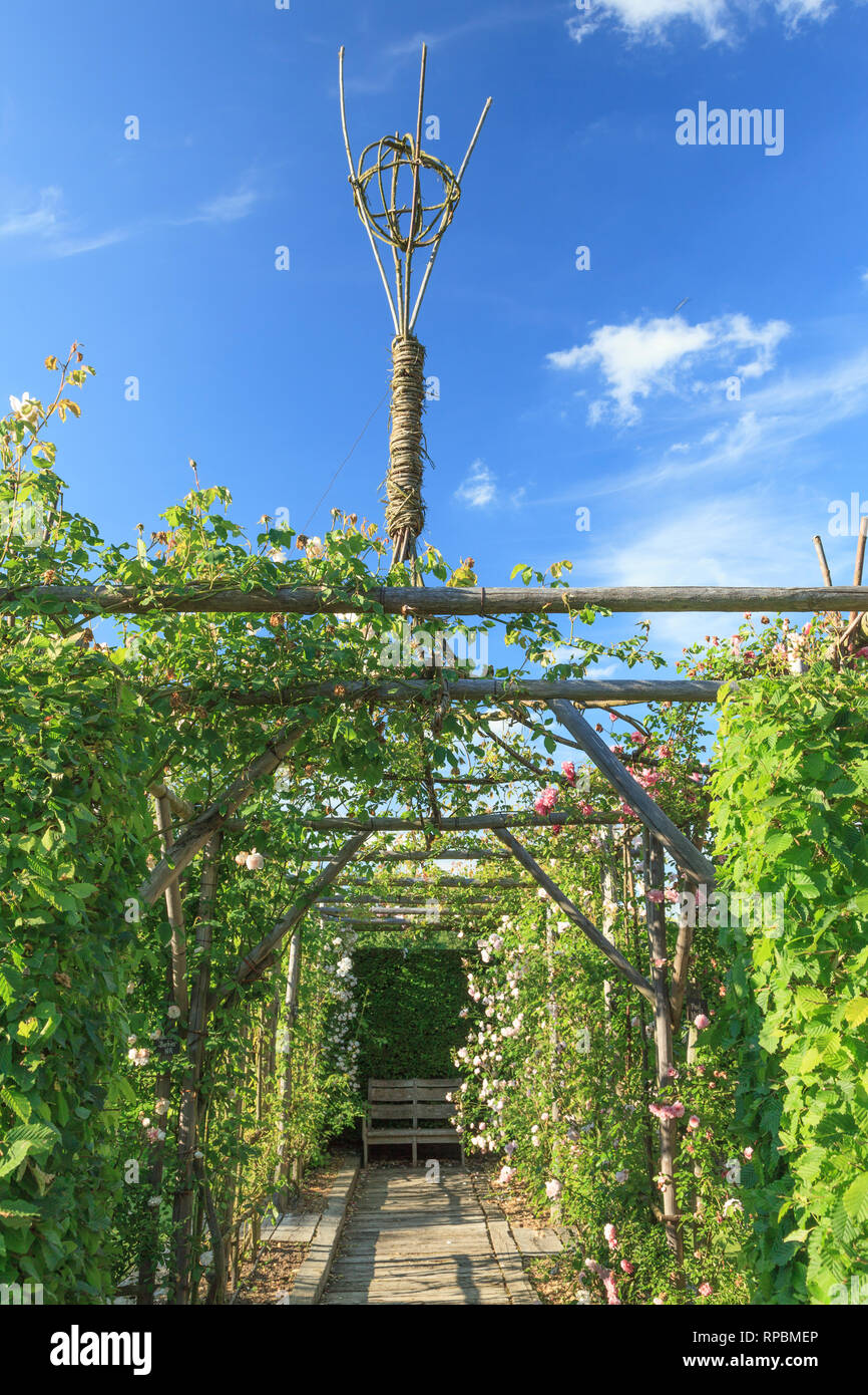 Roses structure hi-res stock photography and images - Alamy