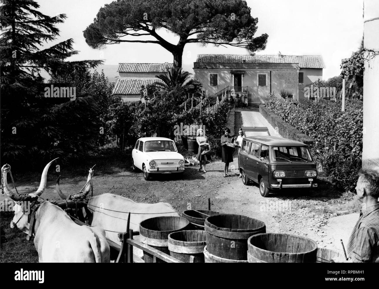 Grape vines farm Black and White Stock Photos & Images - Alamy