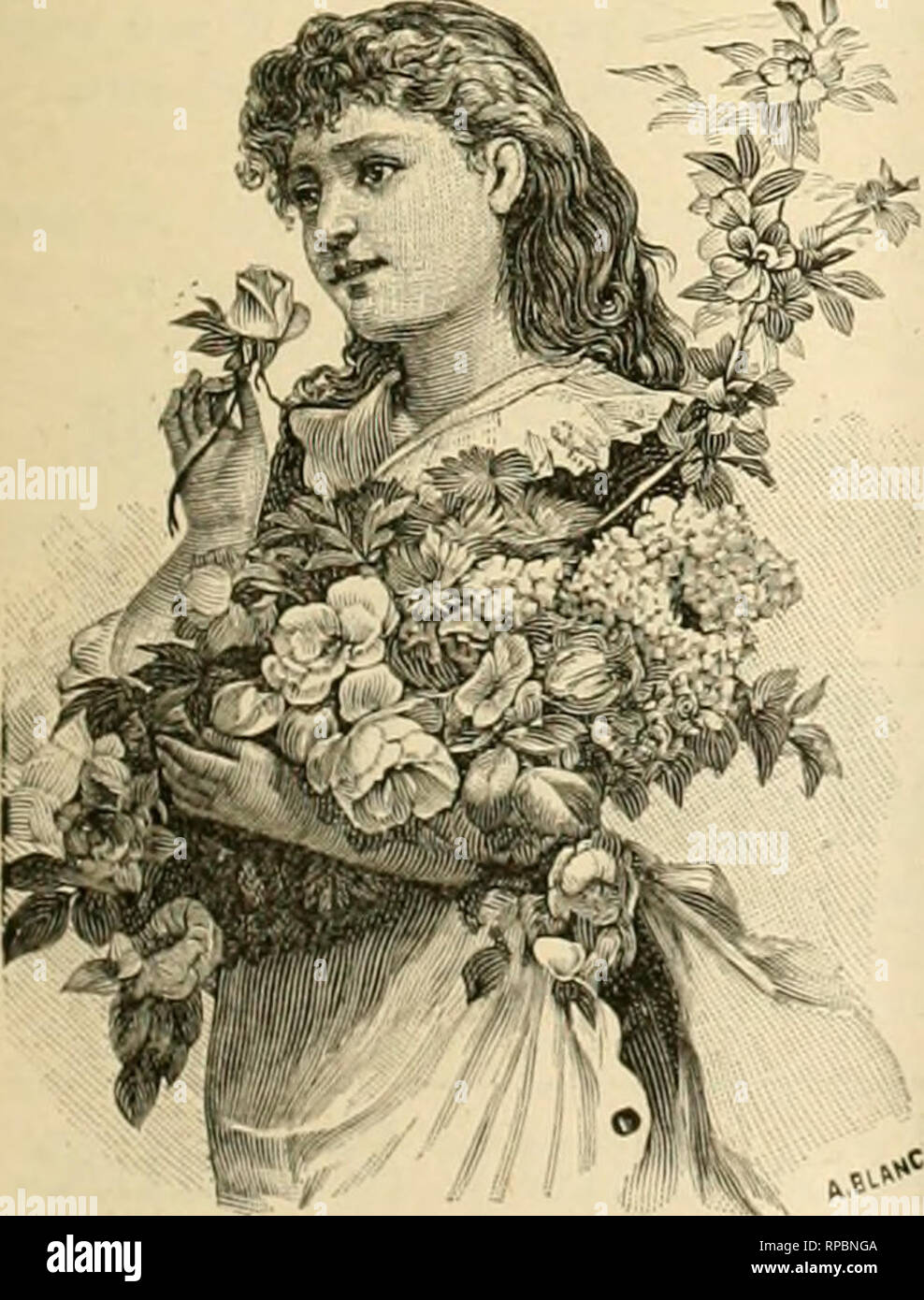 Peter r foster hi-res stock photography and images - Alamy