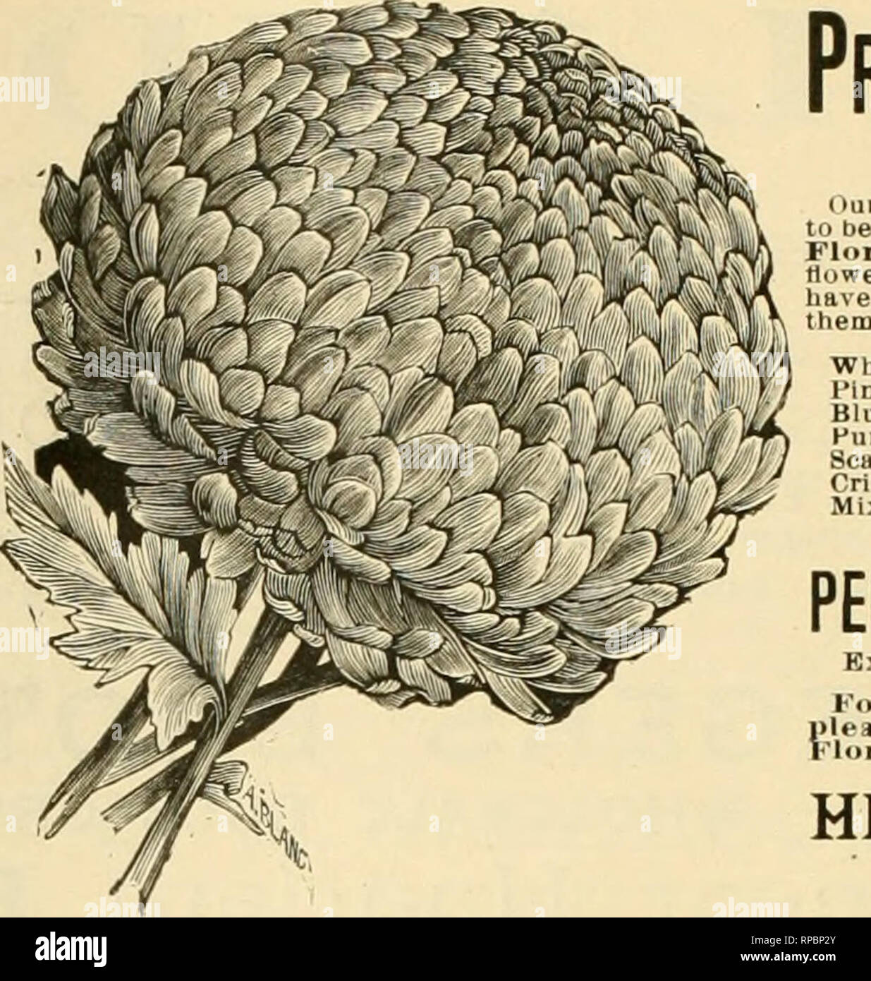 George coombs hi-res stock photography and images - Alamy