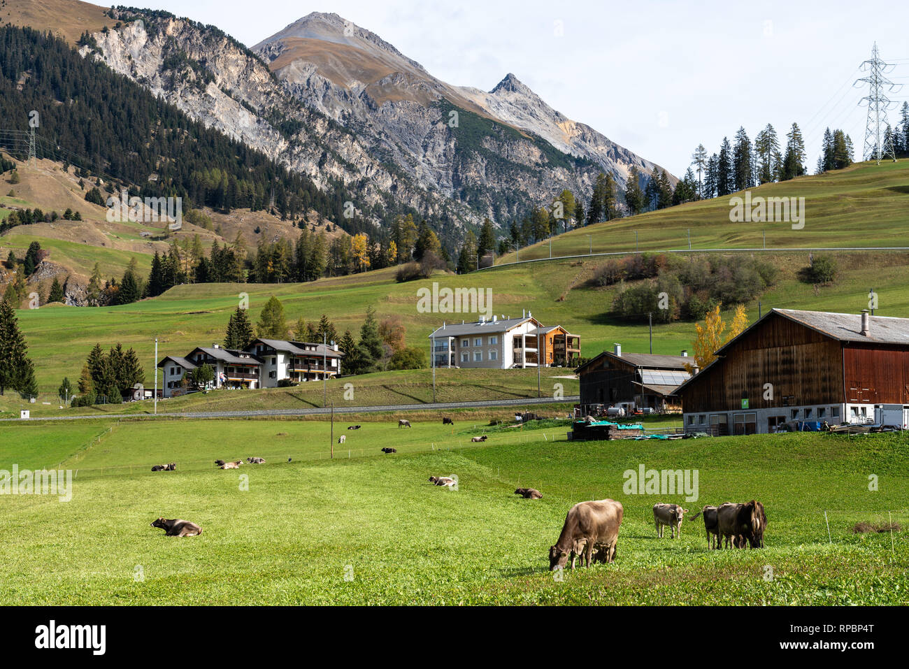 view of the albula pass in canton grisons - switzerland, europe Stock ...