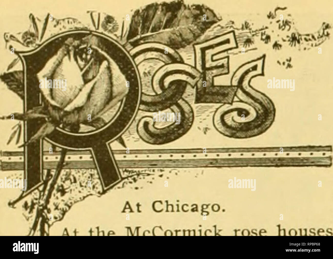 Mccormick florist hi-res stock photography and images - Alamy