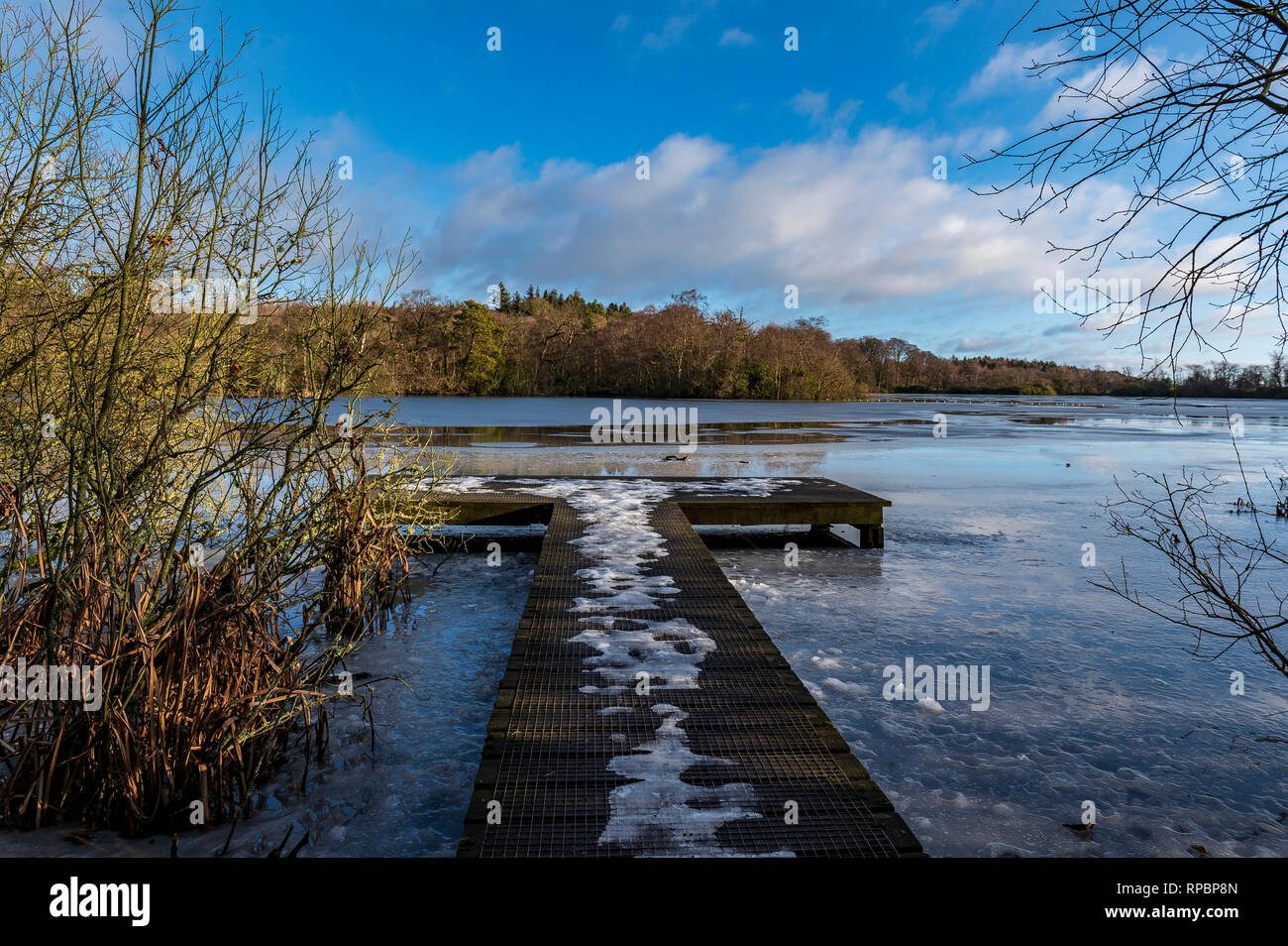 Bolam Lake Country Park, Northumberland, UK Stock Photo - Alamy