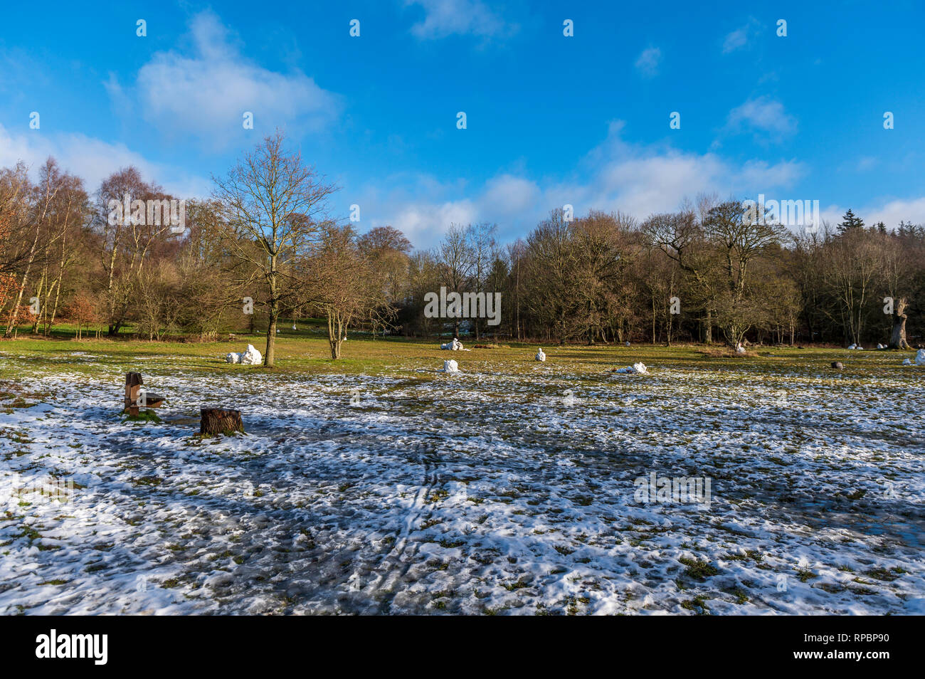Park outside country landscape hi-res stock photography and images - Alamy