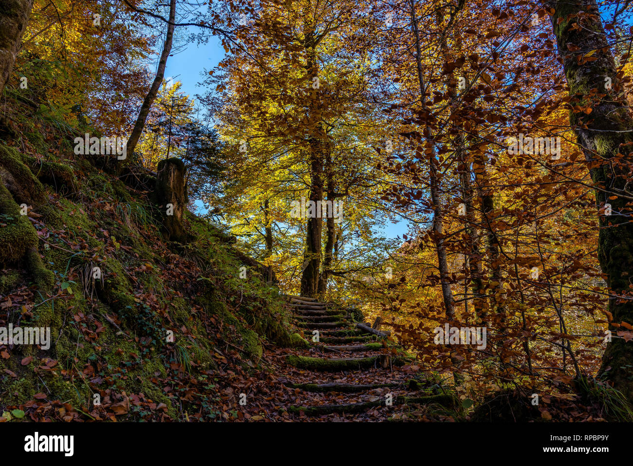 Hiking the Partnachklamm, Partnach Gorge in Garmisch-Partenkirchen ...