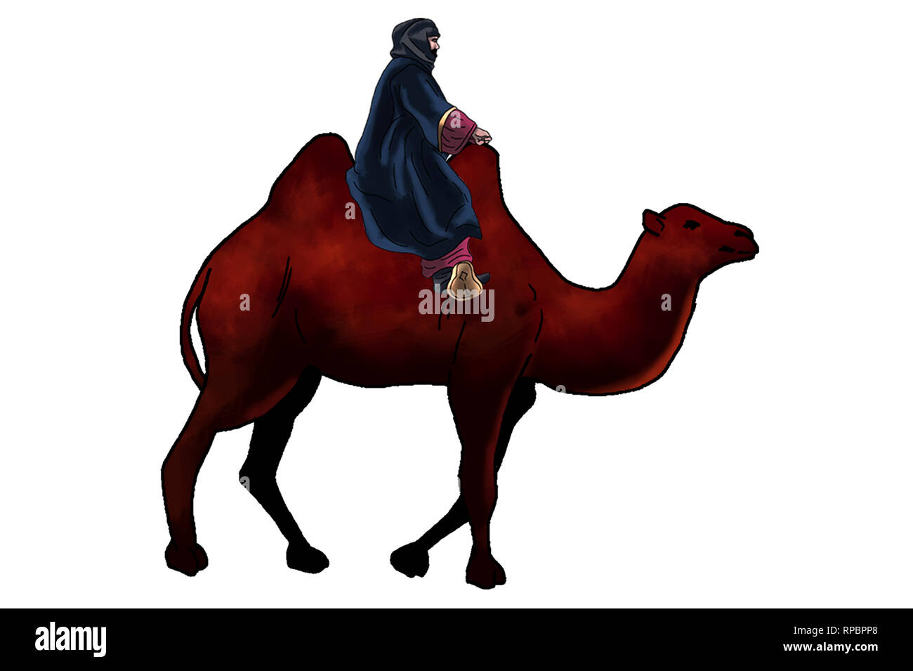 Camel battle turkey hi-res stock photography and images - Alamy