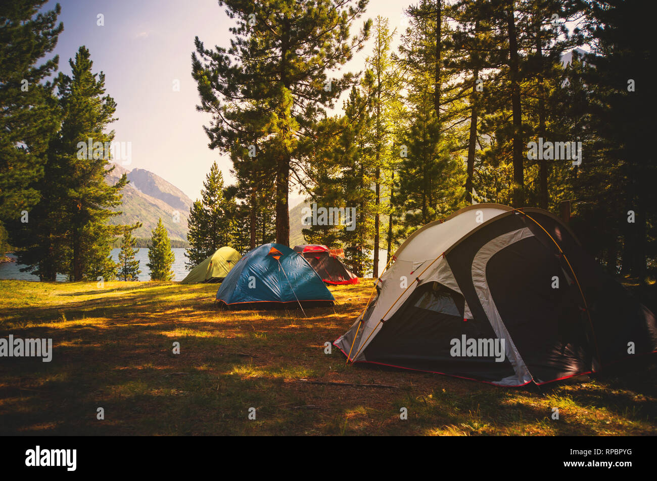 Campground in autumn taiga in Siberia. Tourists camped on the edge in ...