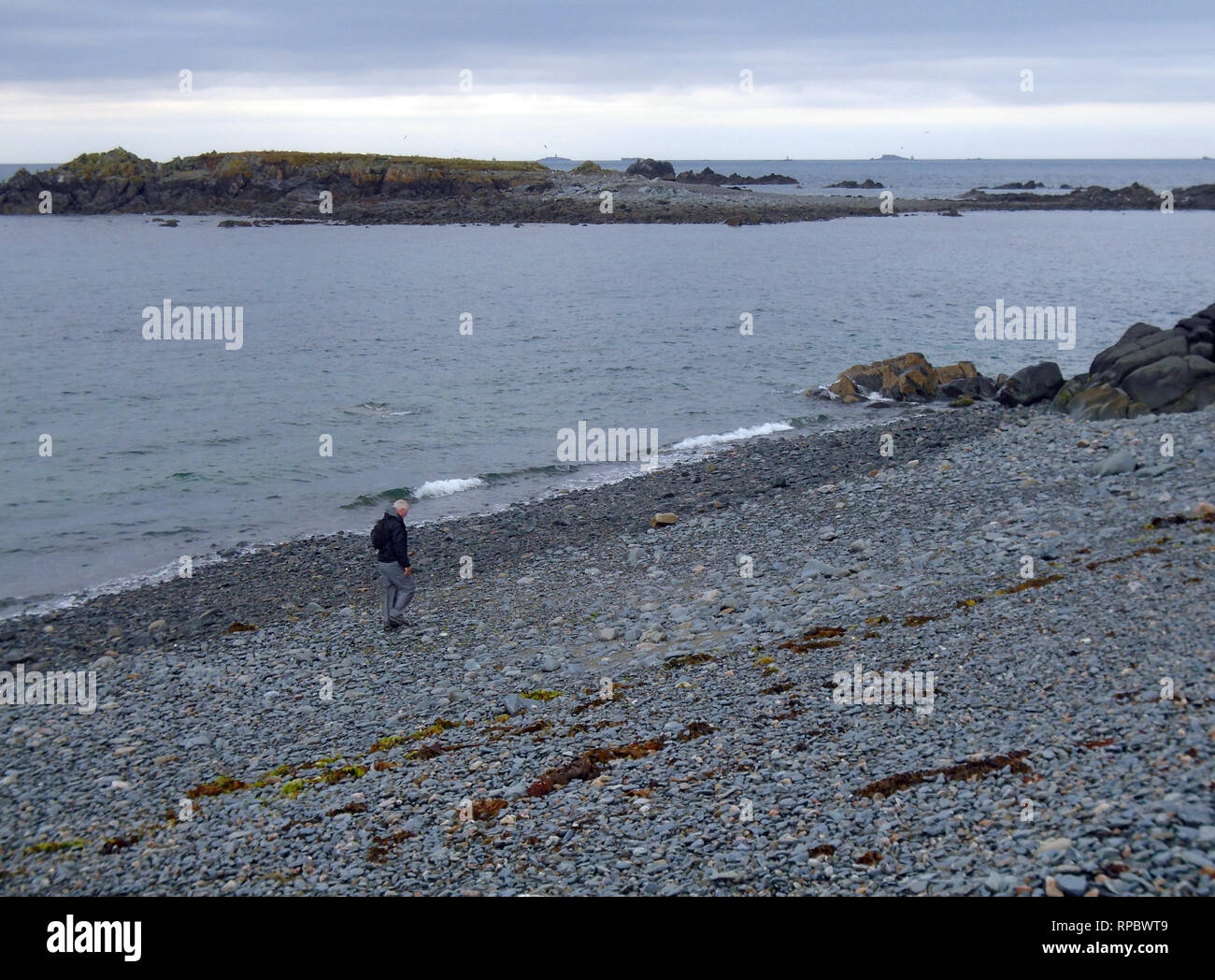 Lone Male Hiker Walking on Pebbles in Pembroke Bay on the Coastal Path ...