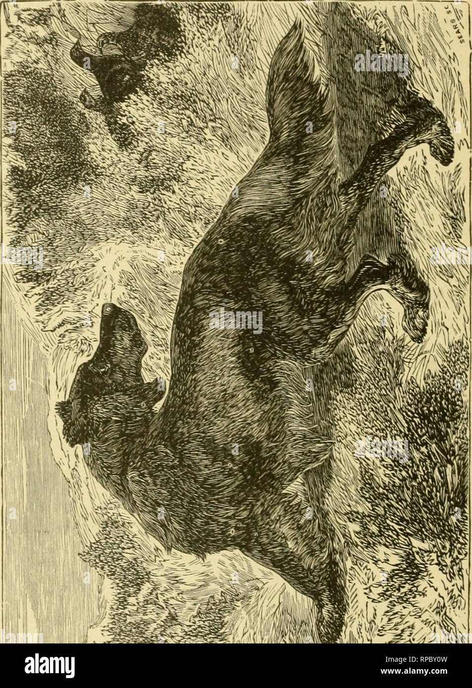 M between eyebrows hi-res stock photography and images - Alamy