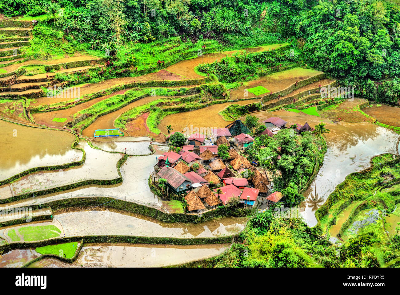 Bangaan Rice Terraces - Luzon, Philippines Stock Photo - Alamy