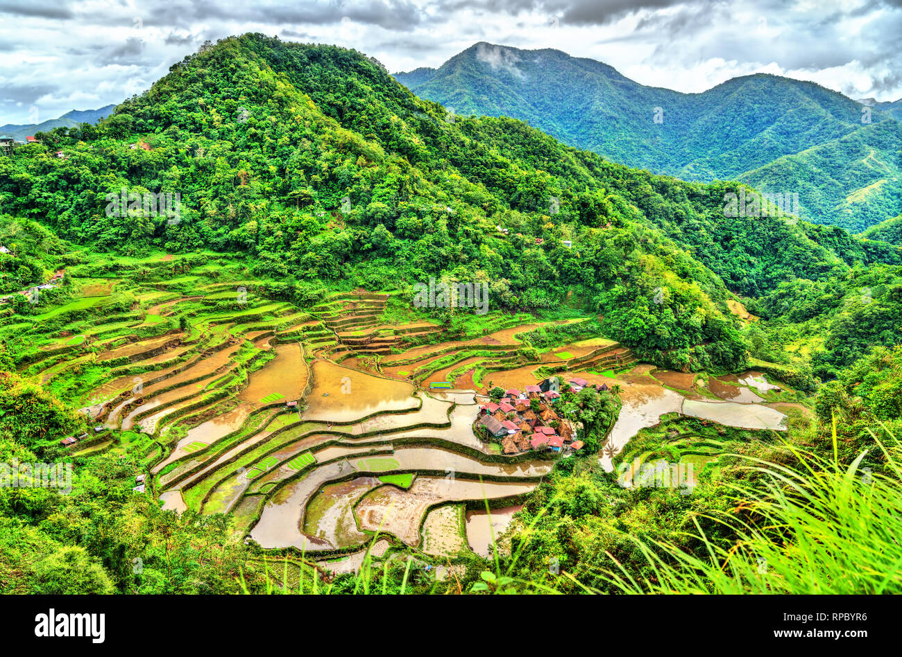 Ancient rice terraces batad hi-res stock photography and images - Alamy
