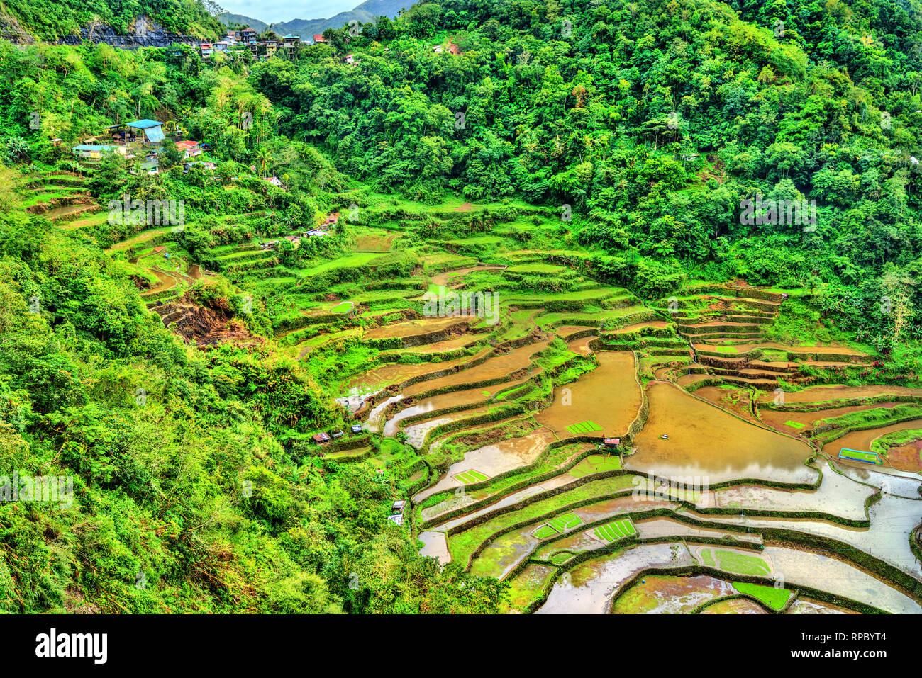 Bangaan Rice Terraces - Luzon, Philippines Stock Photo - Alamy