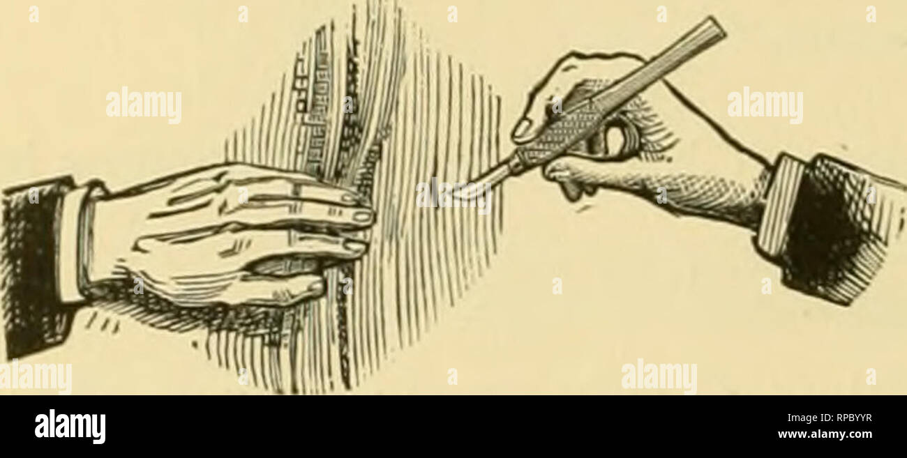 . The American farmer's pictorial cyclopedia of live stock ...