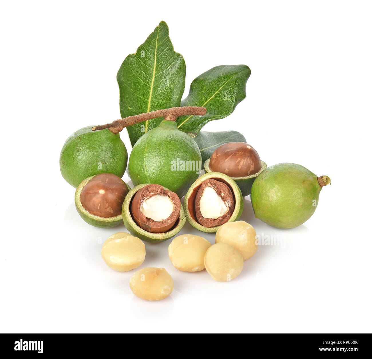 Macadamia nuts on white background Stock Photo - Alamy