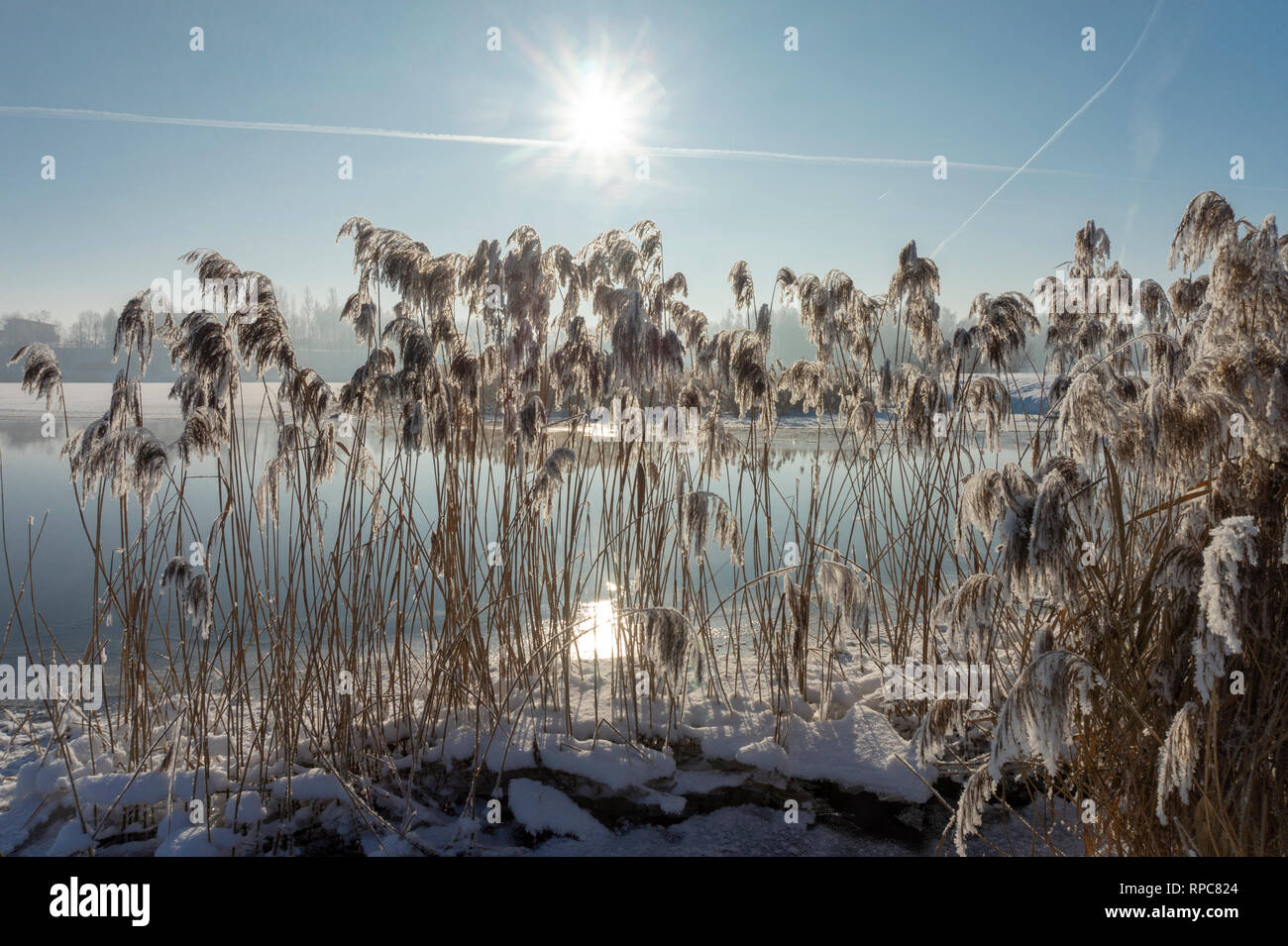 Frosty Weather High Resolution Stock Photography and Images - Alamy